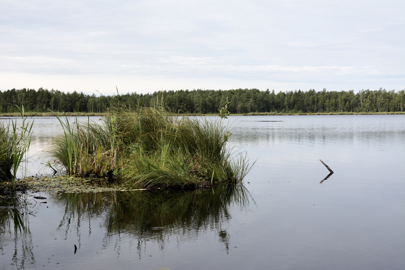 Stūnīšu ezers - Stūņīši