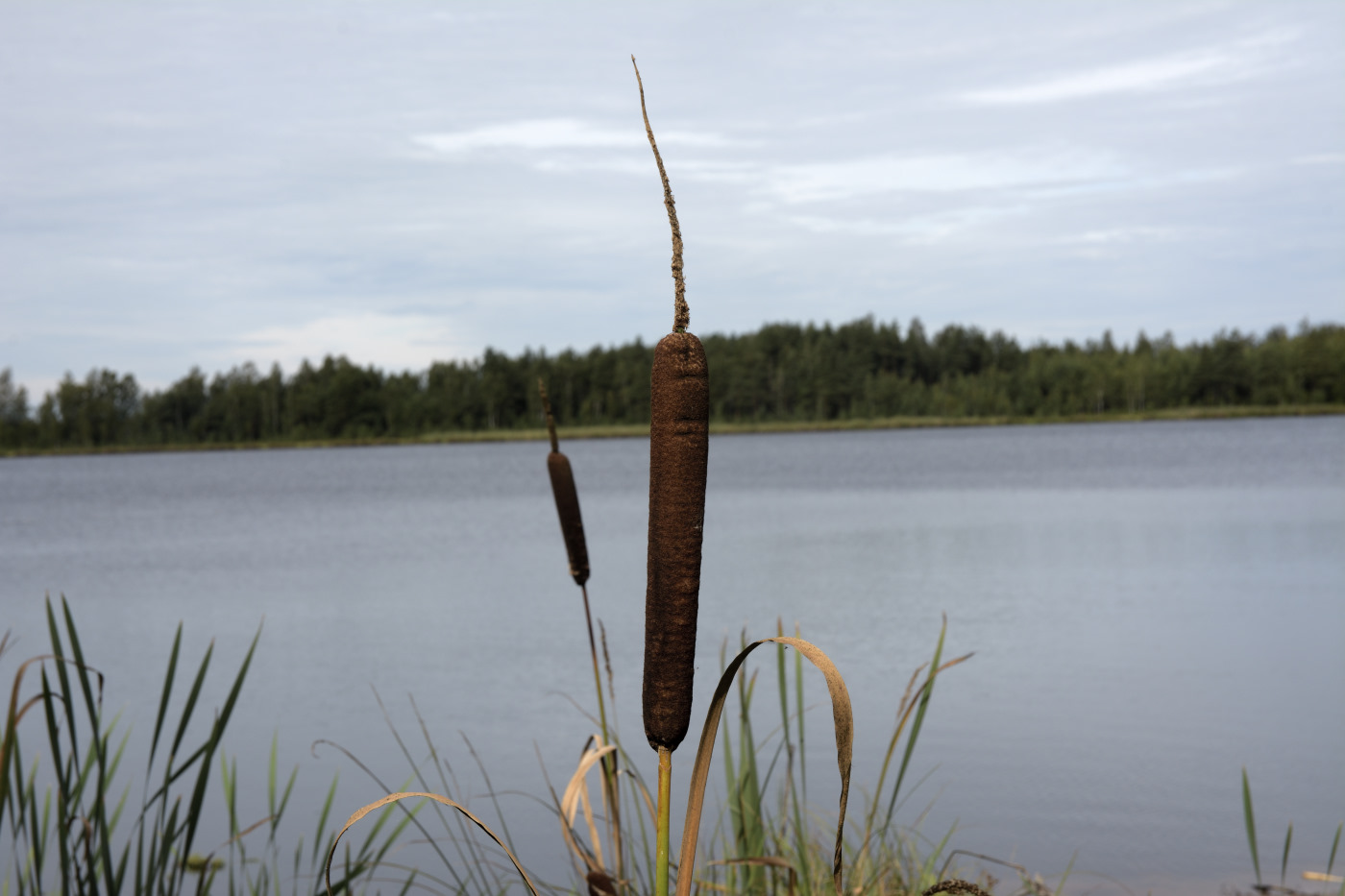 Stūnīšu ezers - Stūņīši