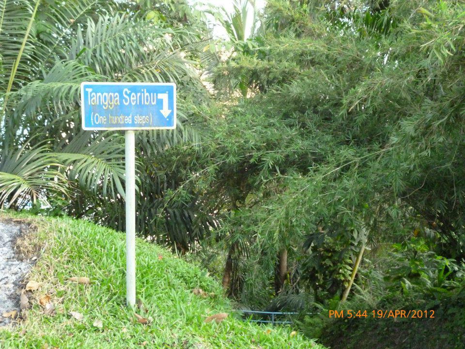 One Hundred Steps | stairs / steps, interesting place