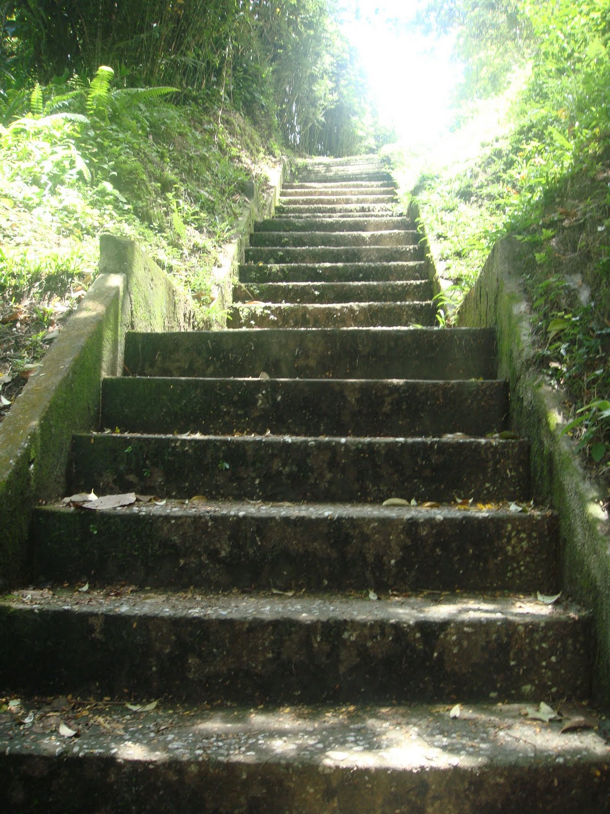 One Hundred Steps | stairs / steps, interesting place
