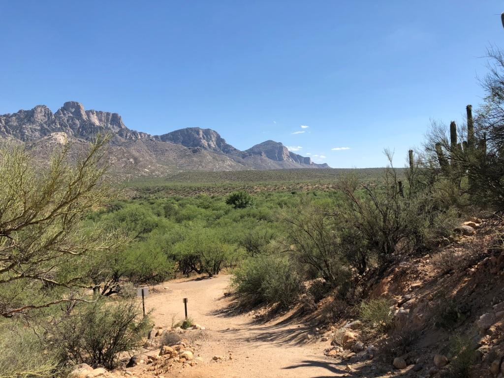 Pusch Ridge
