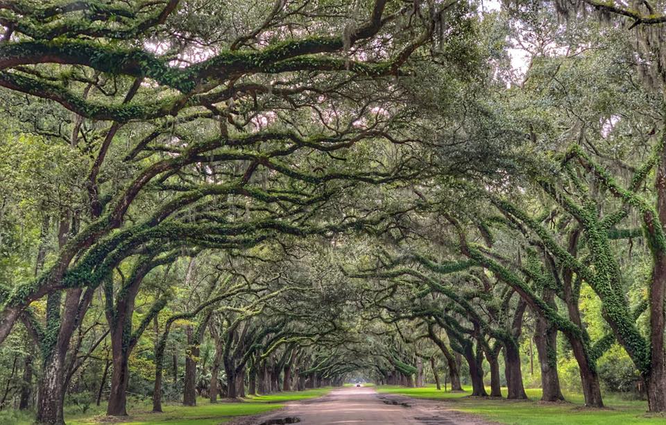 Wormsloe State Historic Site