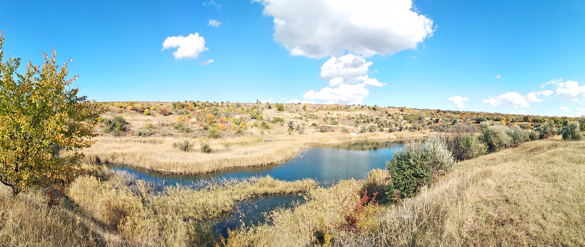 Pond