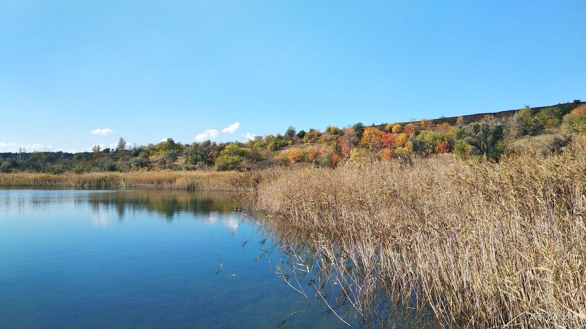 Pond