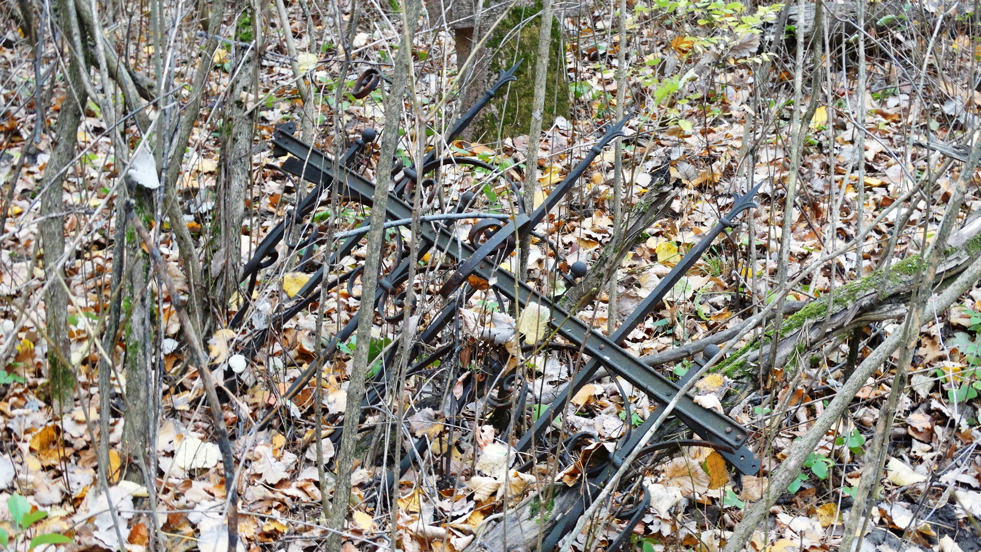 Dawny cmentarz ewangelicki