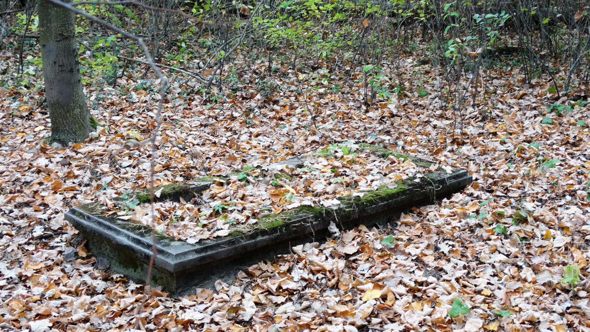 Dawny cmentarz ewangelicki