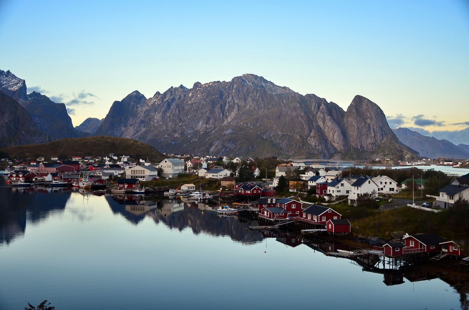 Reine