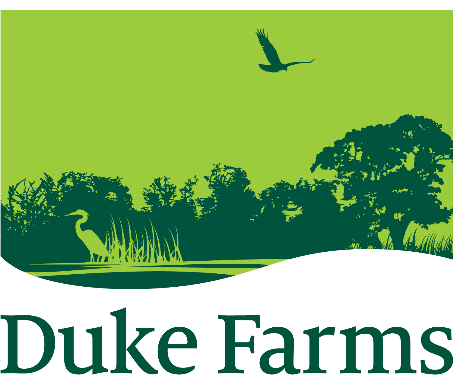 Duke Farms | museum, park, garden, agriculture, interesting place