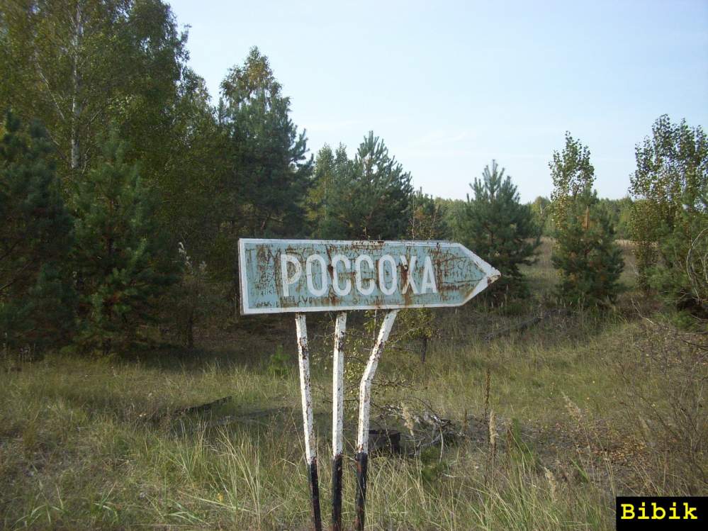 Rasocha
