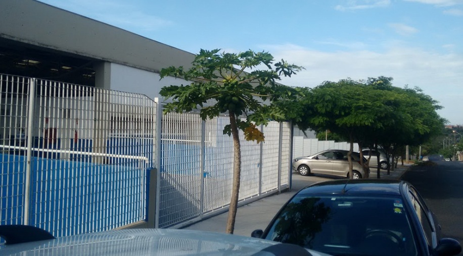 E.M.E.F. "Prof. José Roberto Costa Bruno" - Santa Rosa do Viterbo