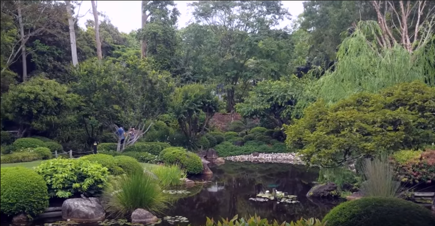 Brisbane Botanic Gardens, Mount Coot-tha - City of Brisbane, QLD