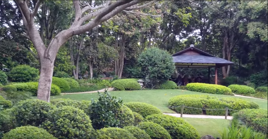 Brisbane Botanic Gardens, Mount Coot-tha - City of Brisbane, QLD