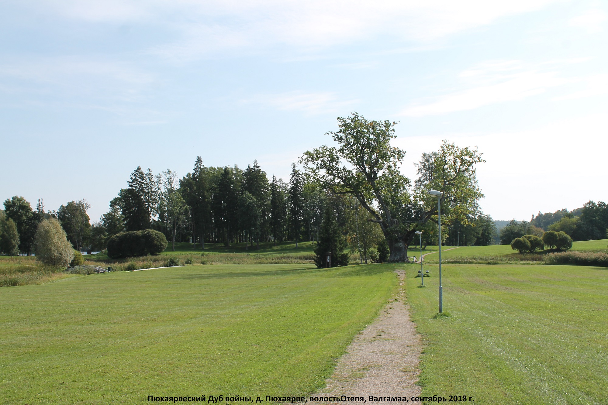 Pühajärve sõjatamm - Pühajärve