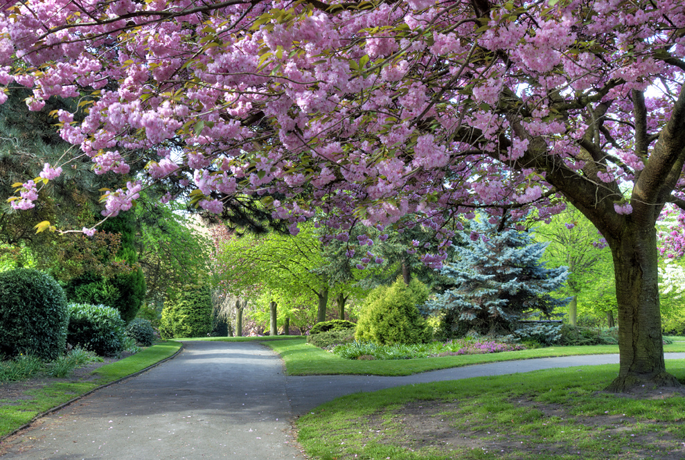 The Arboretum - Nottingham