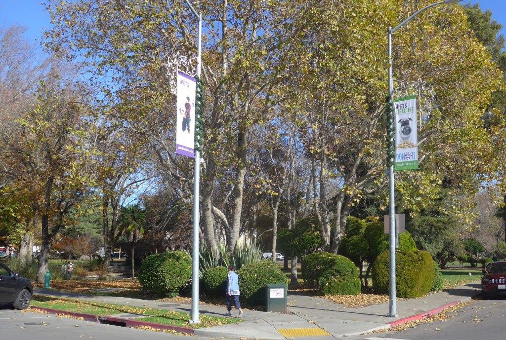 Plaza Sonoma - Sonoma, California