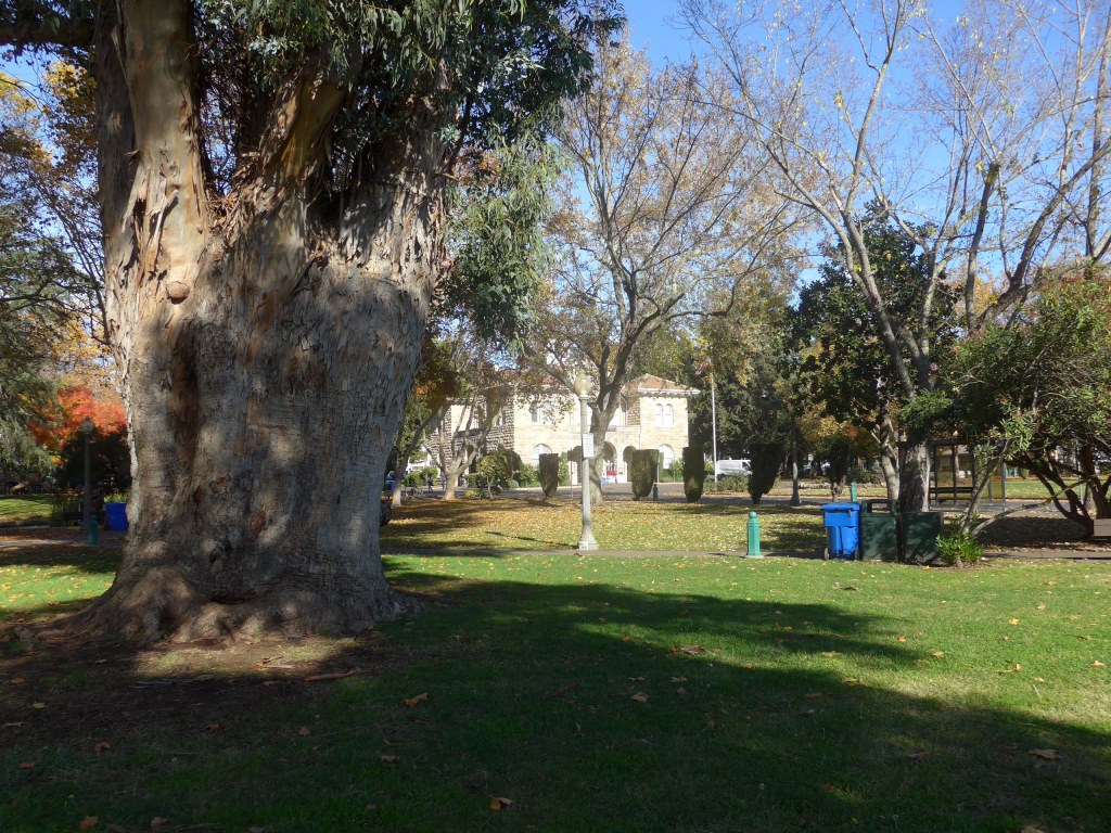 Plaza Sonoma - Sonoma, California