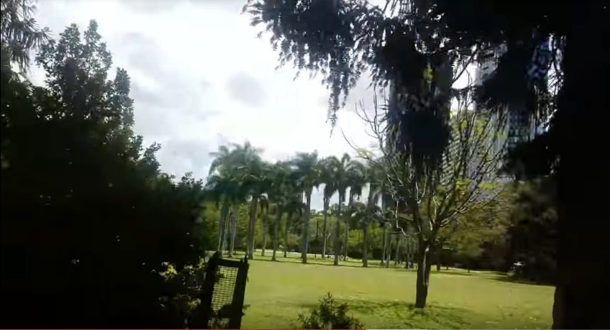 City Botanic Gardens - City of Brisbane, QLD