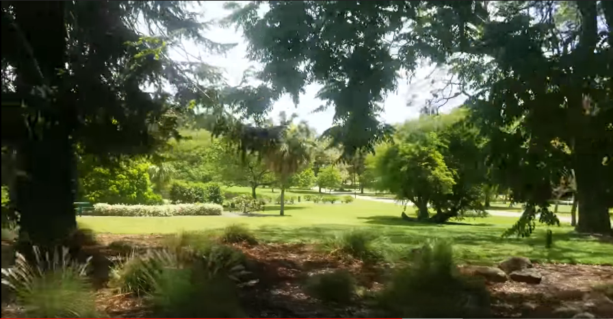 City Botanic Gardens - City of Brisbane, QLD