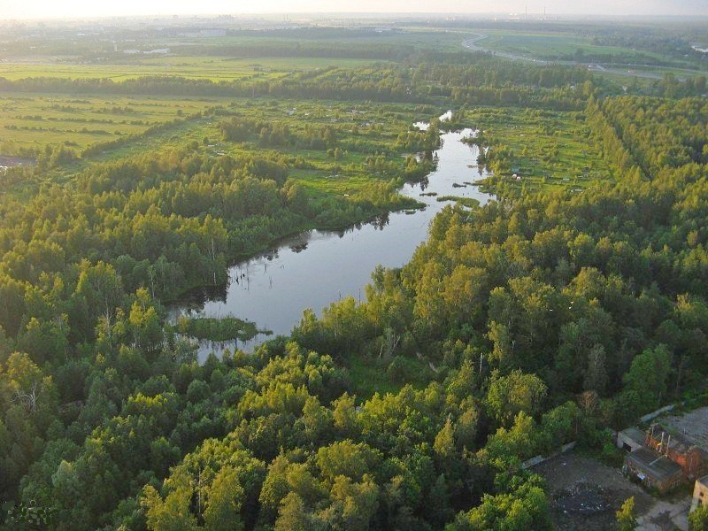 Пруд нижней трети ручья - Санкт-Петербург