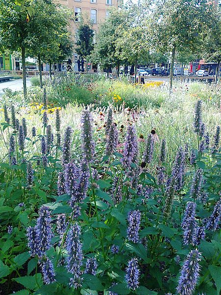 Theaterplein - Antwerp (municipality)