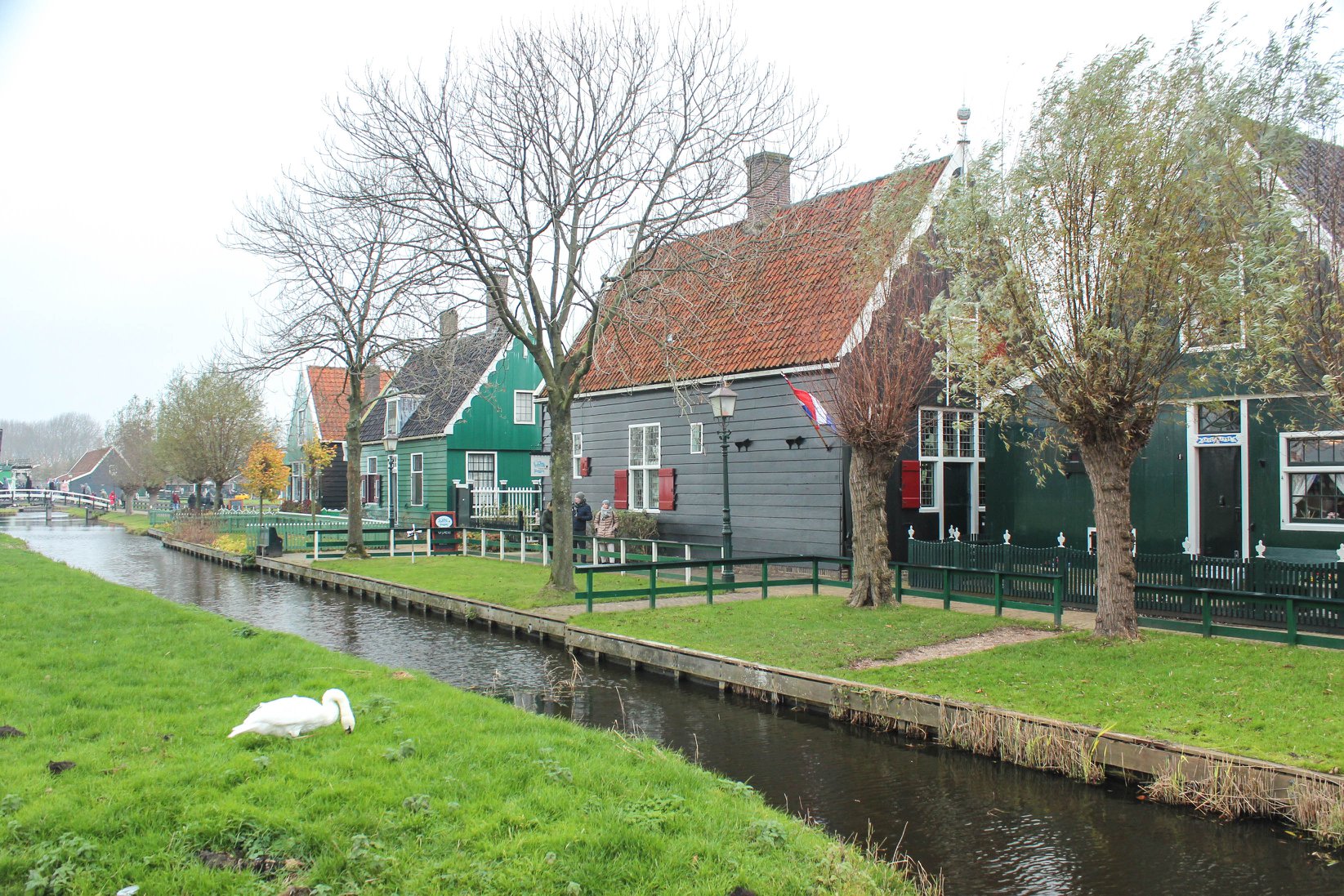 Zaandam