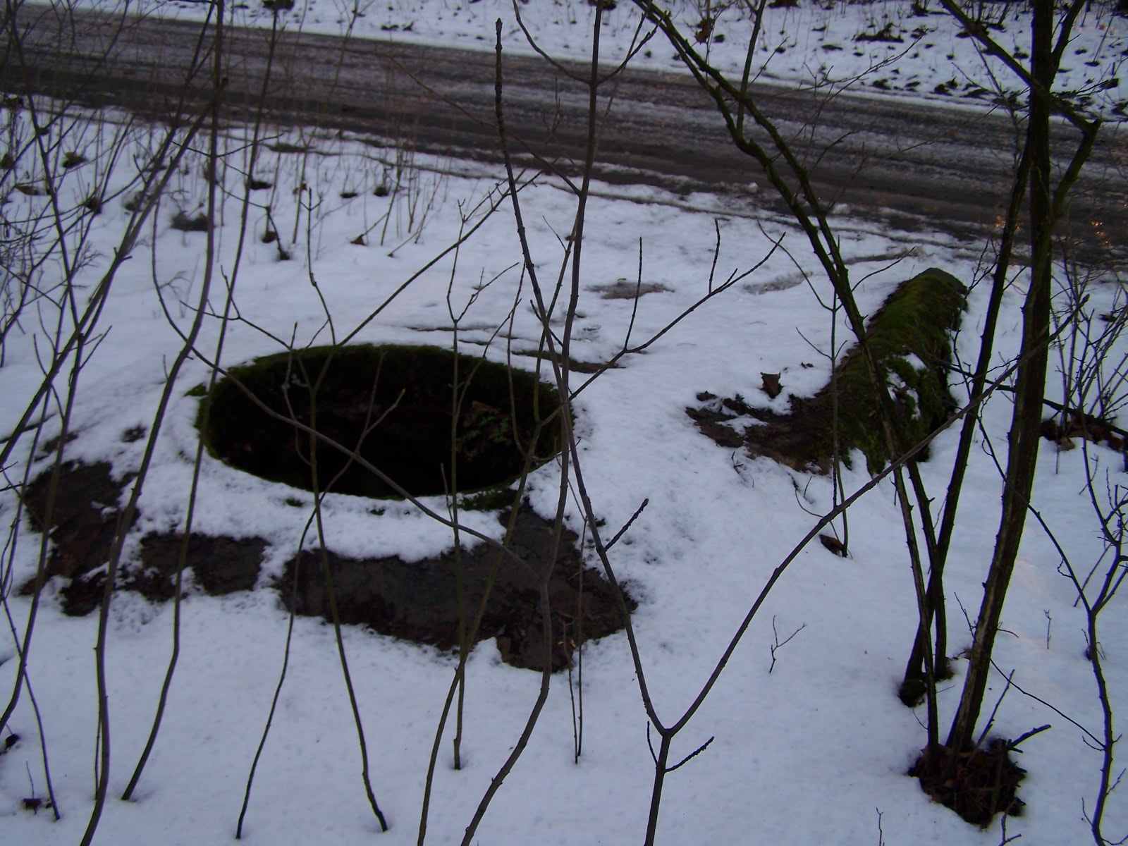 Schron Ringstand 58c - Brzozówka