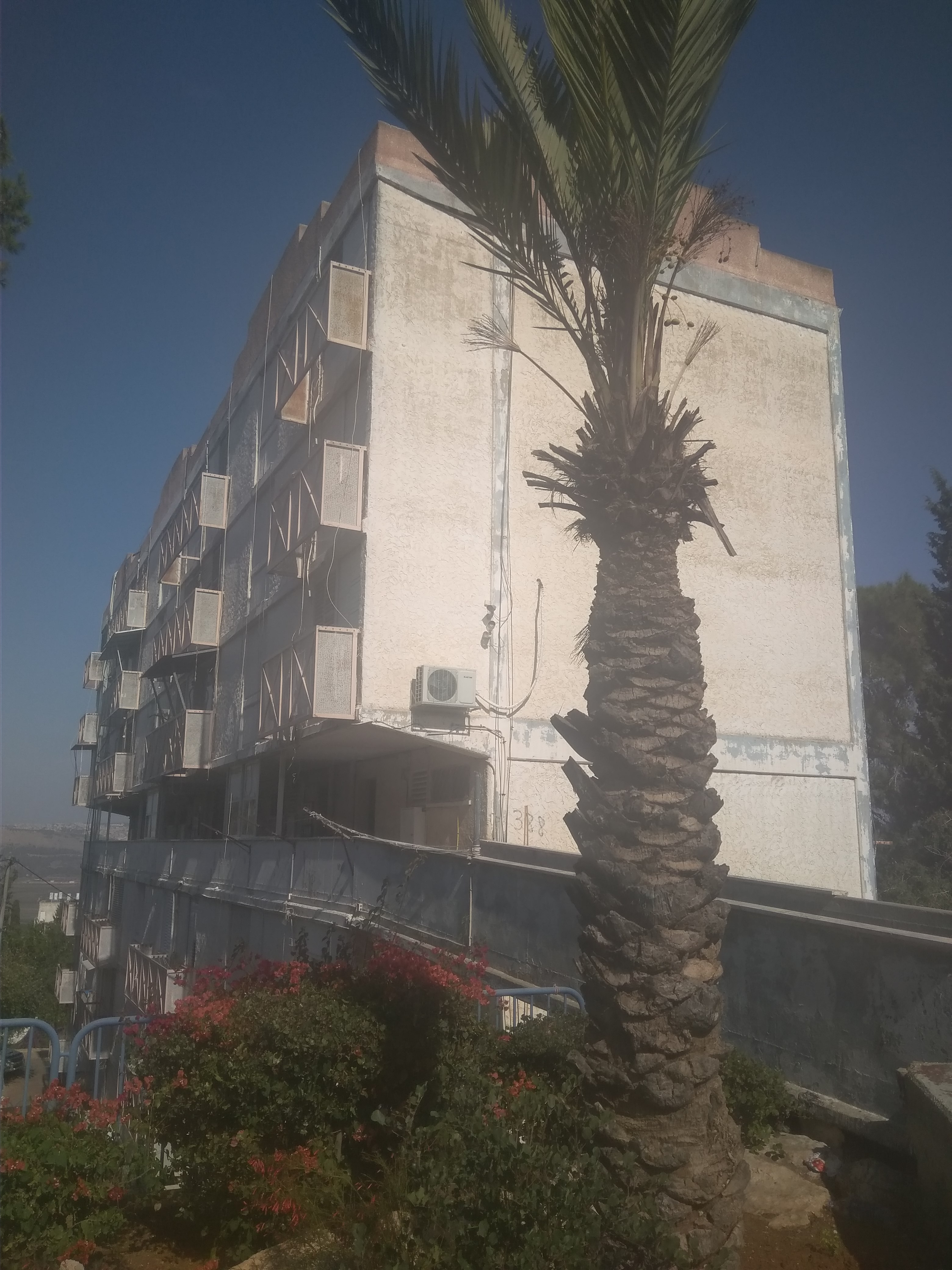 Aliyat HaNoar, 6א - Afula