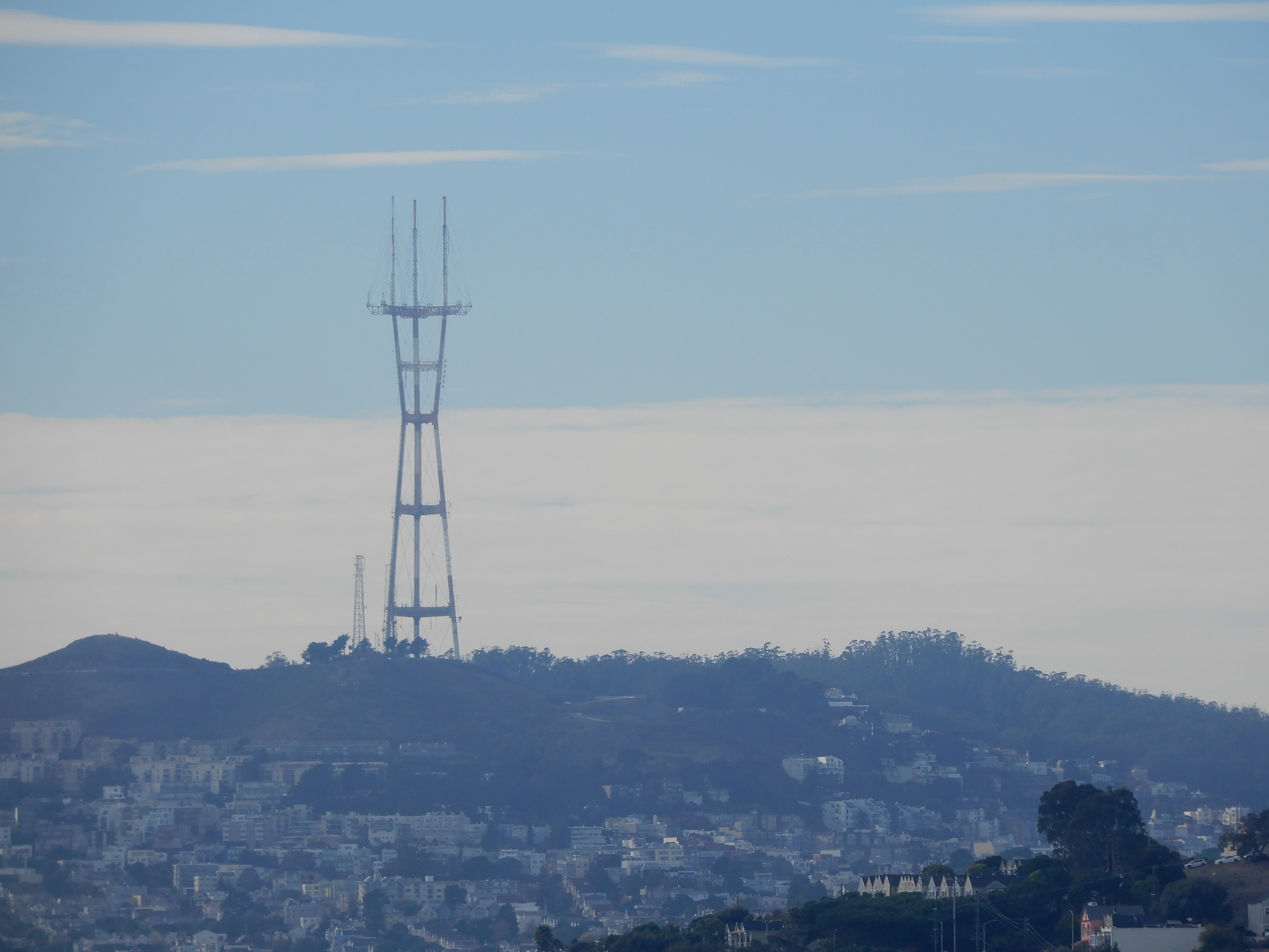Mount Sutro - San Francisco, California