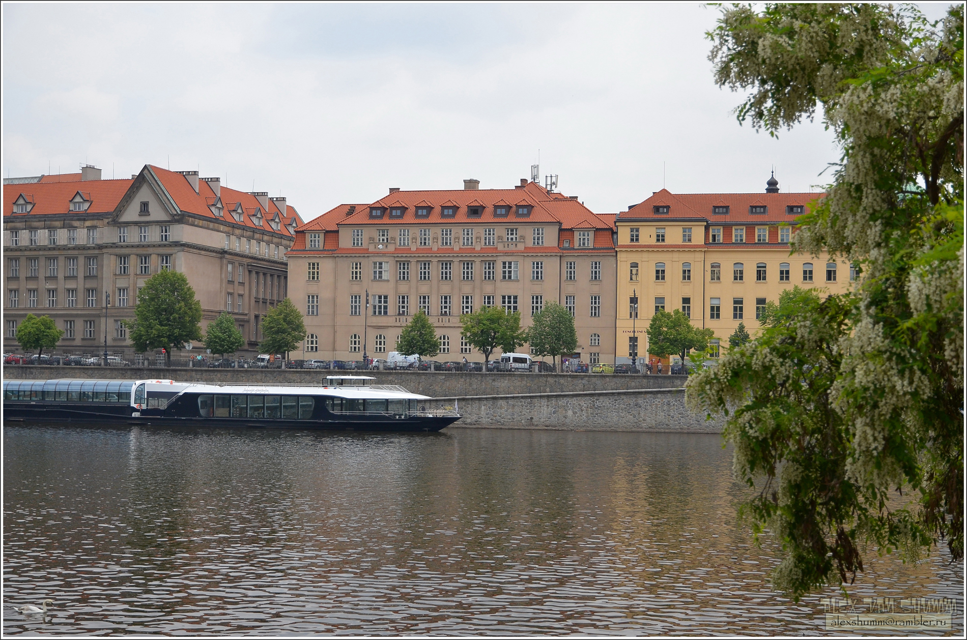 Czech Technical University - Faculty of Nuclear Sciences and Physical ...