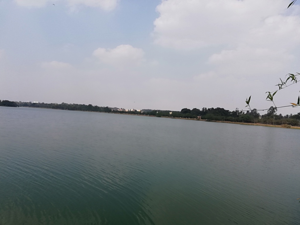 Jakkur Lake - Paradise for Birds - Bengaluru | birdwatching area