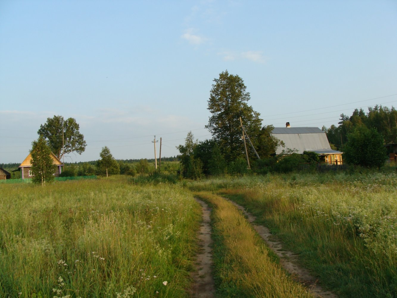 Dubrava