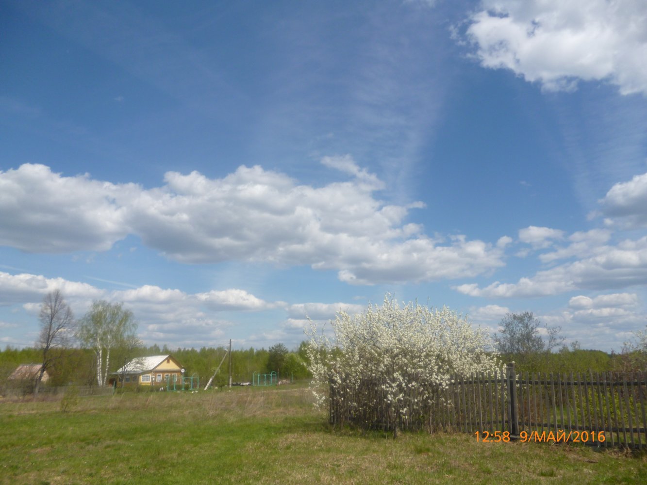Dubrava