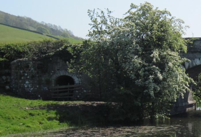 Cattle Creep
