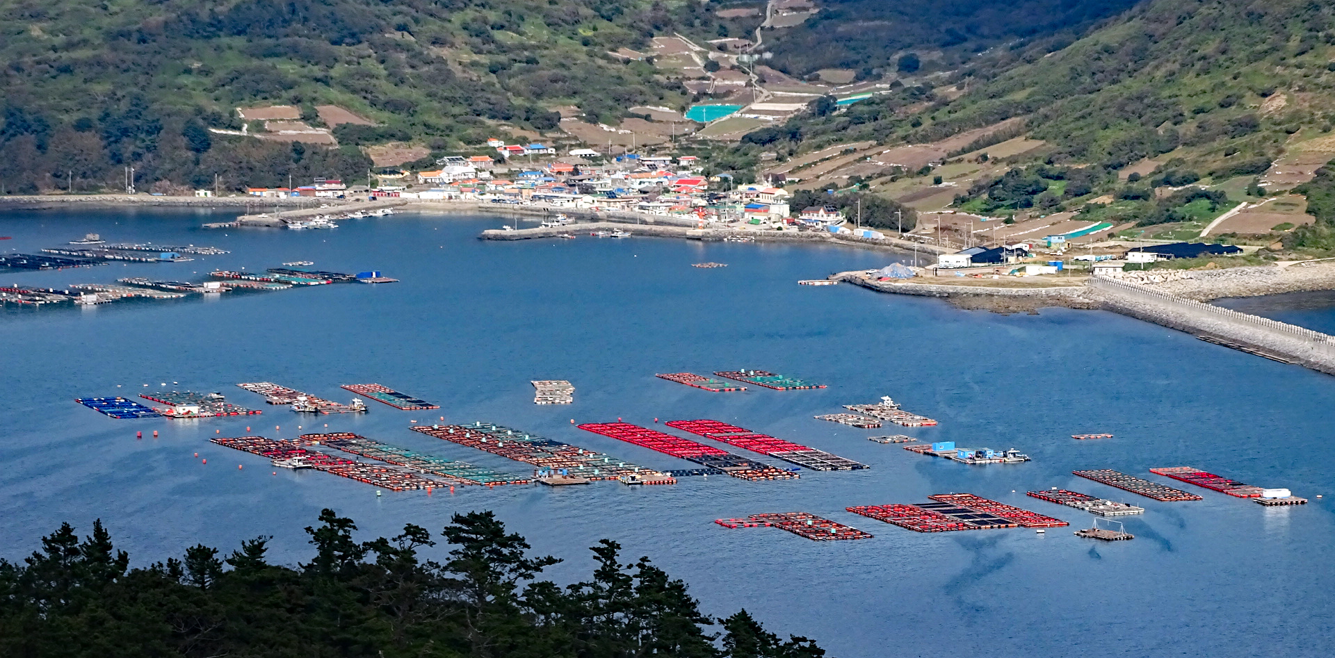 Geomundo (Port Hamilton)