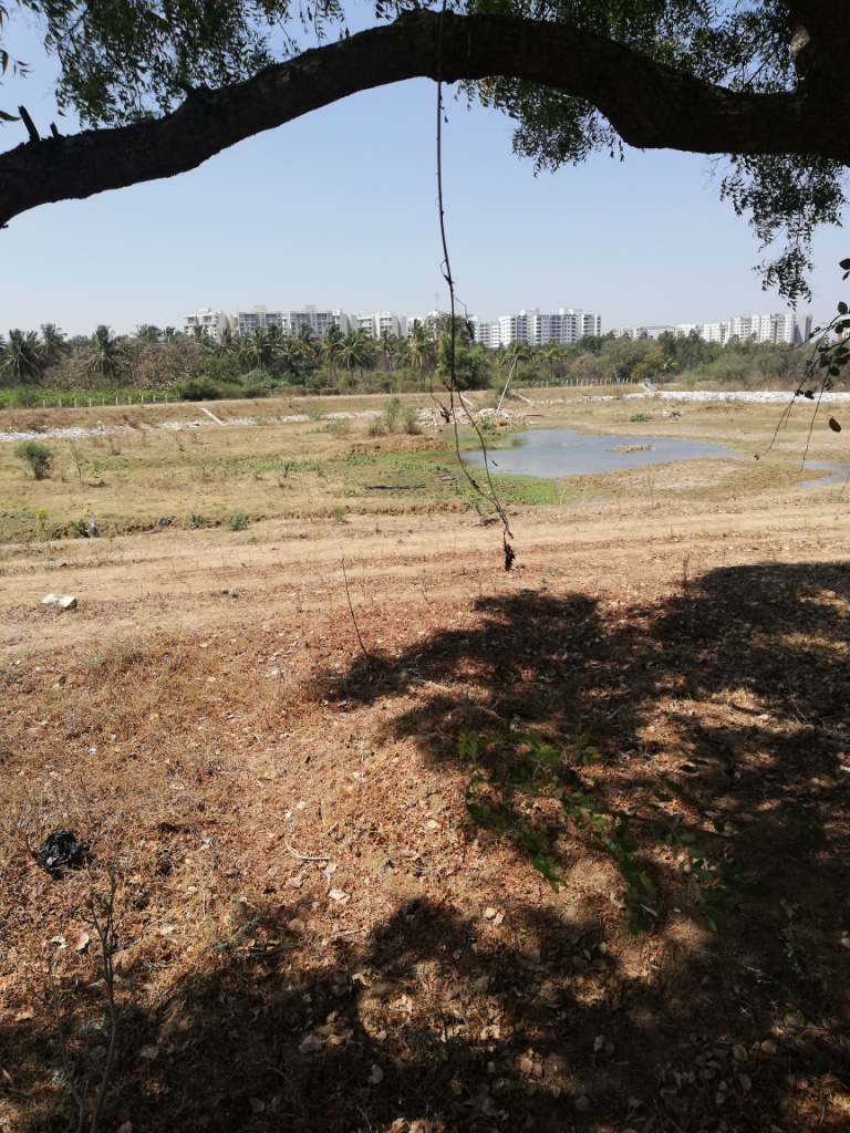 Harohalli Lake - Bengaluru