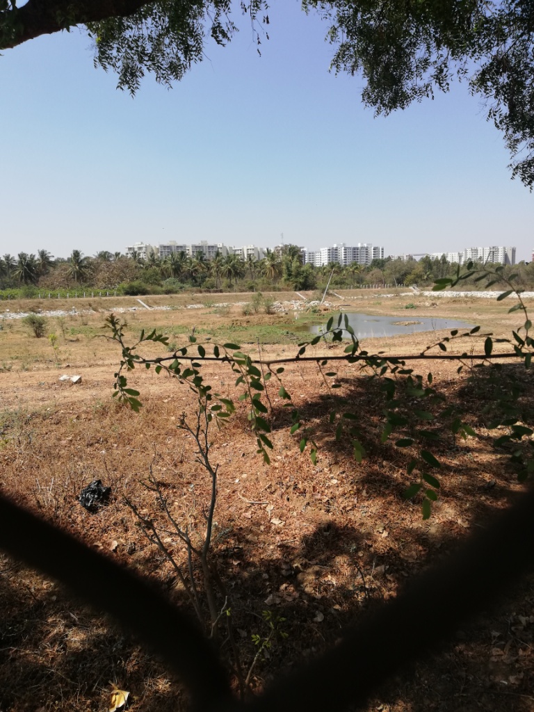 Harohalli Lake - Bengaluru