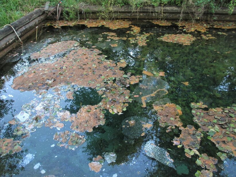 Popovsky spring - Popovka