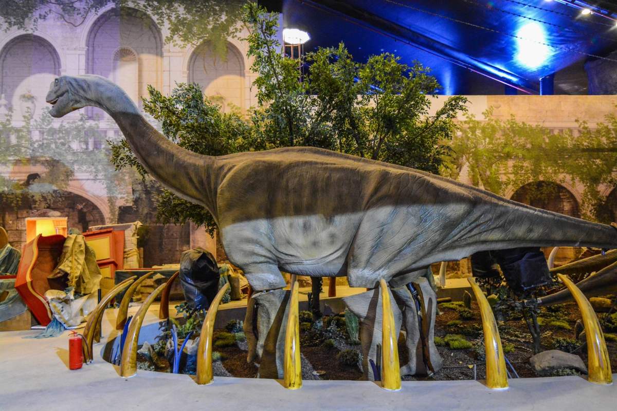 Dinazor Museum - Ankara Metropolitan Municipality