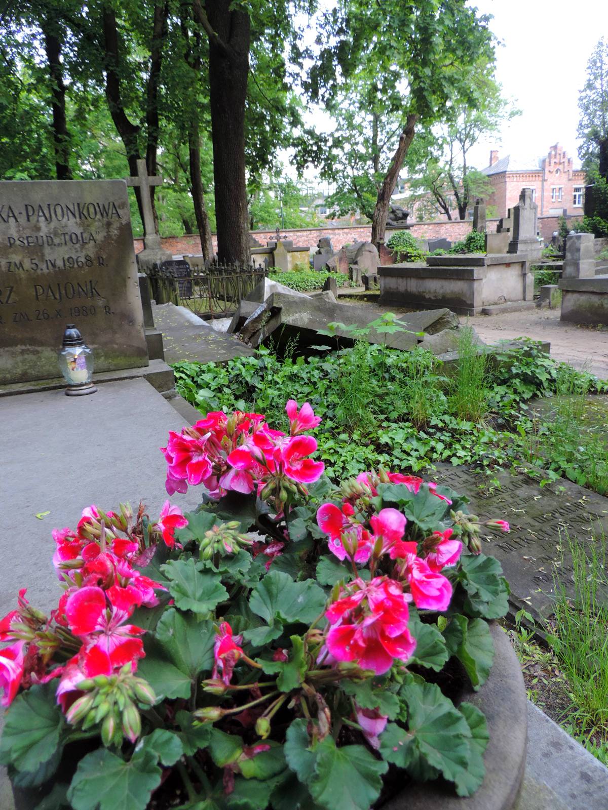 The grave of Kurowski family