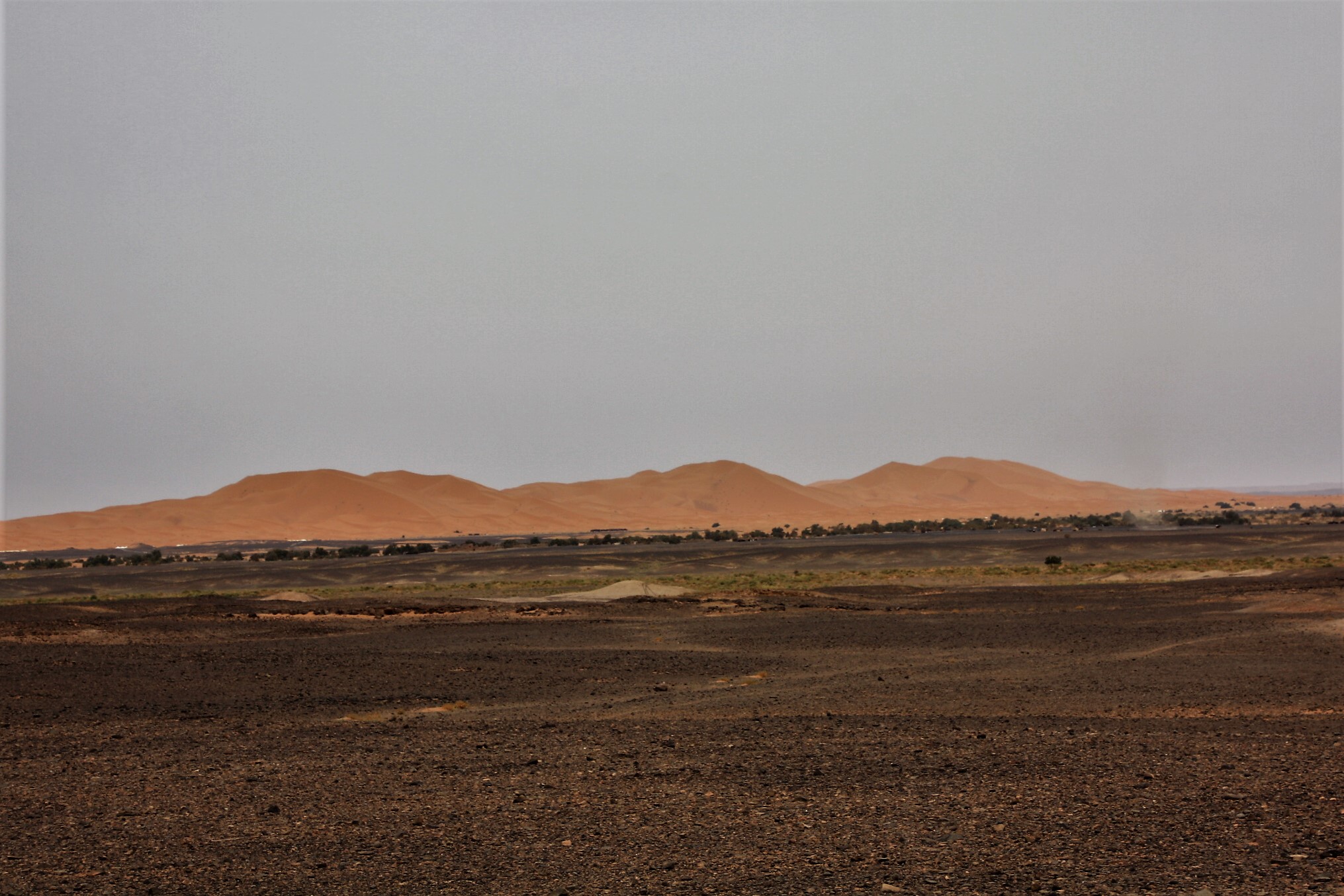 Erg Chebbi