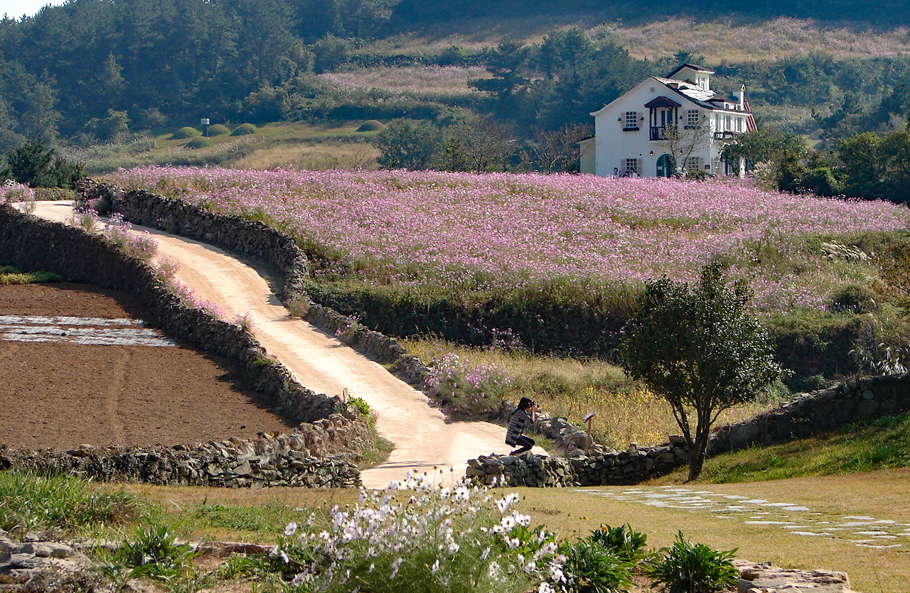 Wando (Island - 완도)