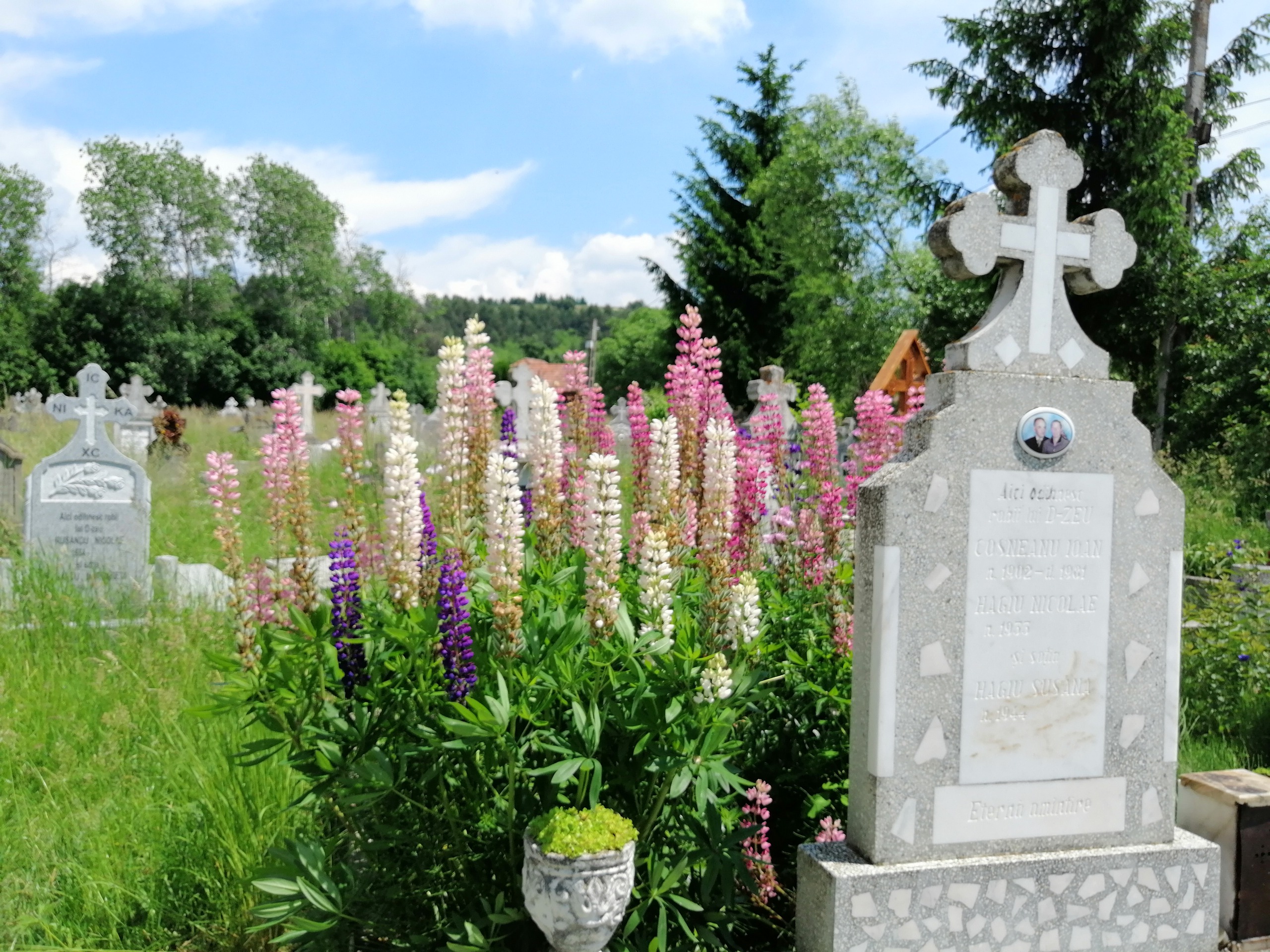 Orthodox Cemetery - Zăbala