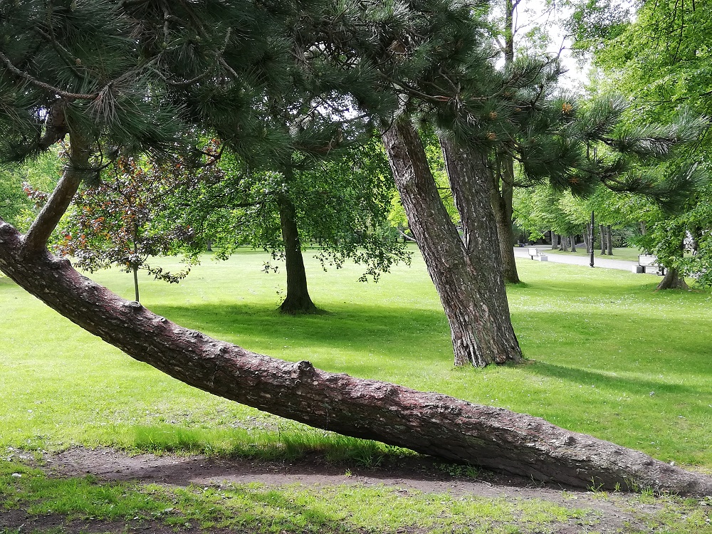 Seaside (Jurmalas) parks - Liepāja