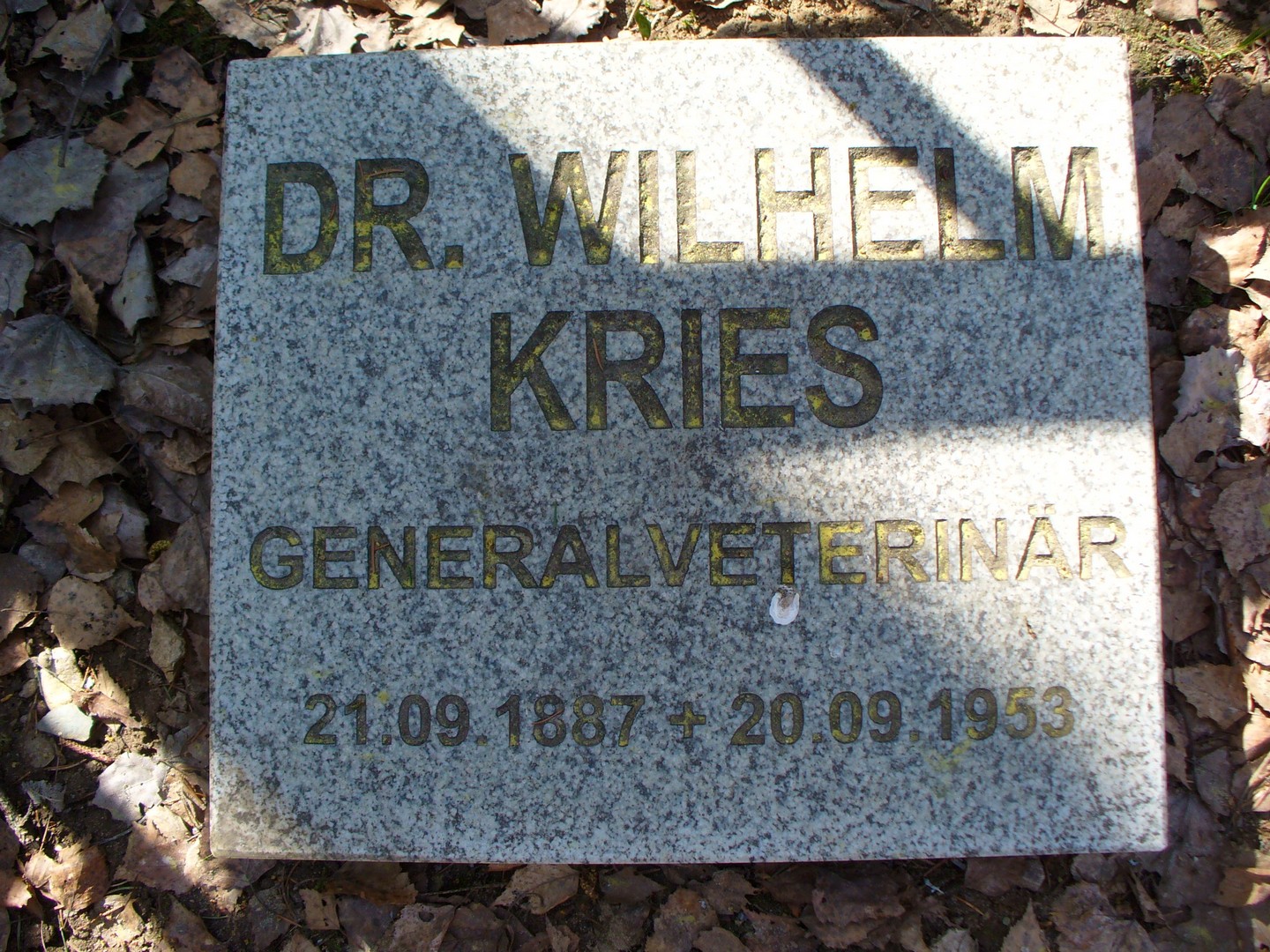 Cemetery of Nazi German POWs