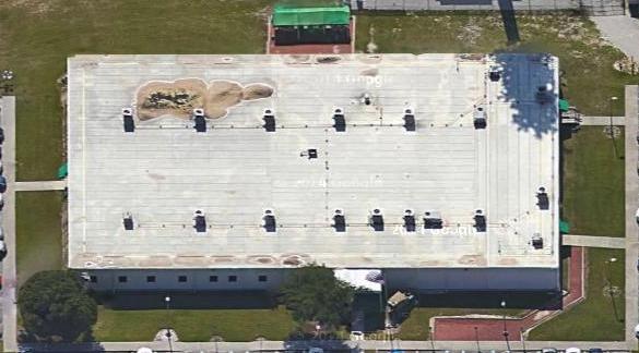 Cast Services - Bay Lake, Florida