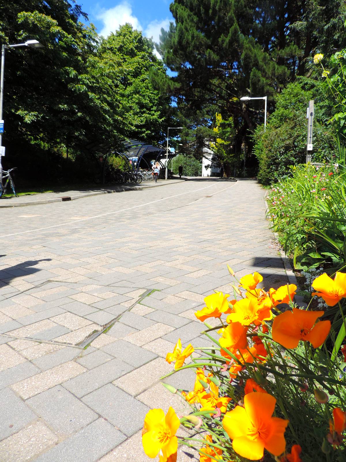 University of Exeter Streatham Campus - Exeter