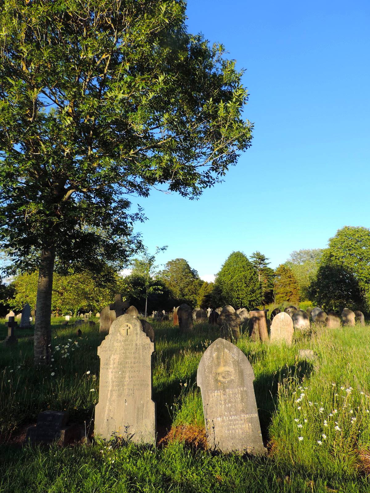 Higher Cemetery - Exeter