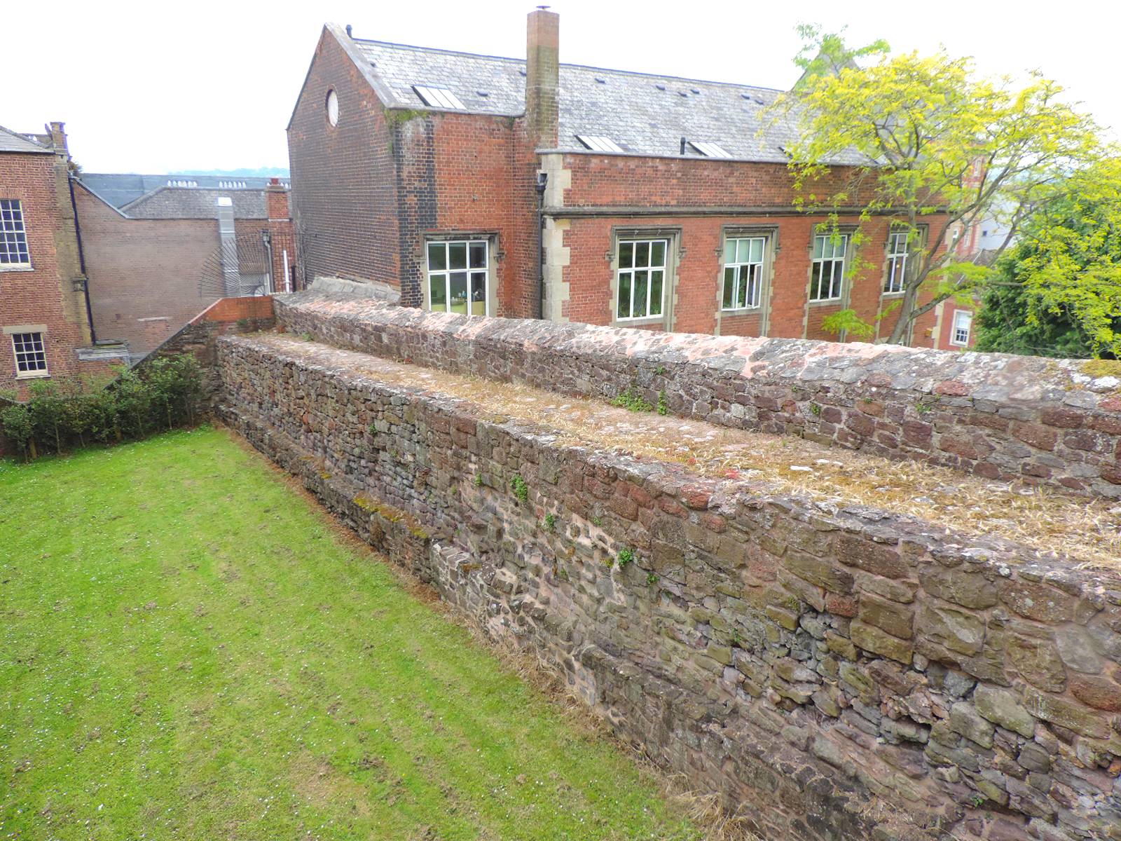 Exeter city wall - Exeter