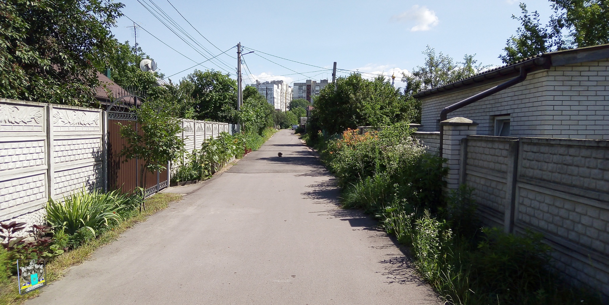 provulok Karakulnyi Pershyi, 13/5 - Zhytomyr