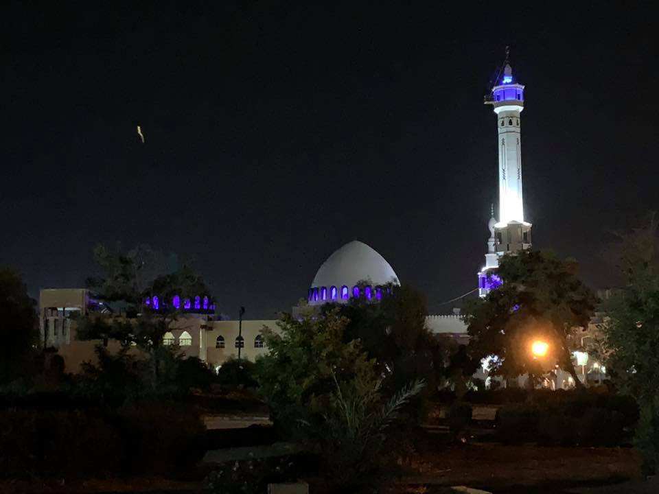 Sheikh Mohammed al-Hamed Mosque - Hama